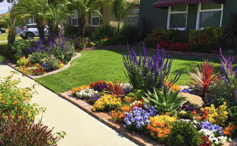 Simple Budget Friendly Landscape Edging Ideas